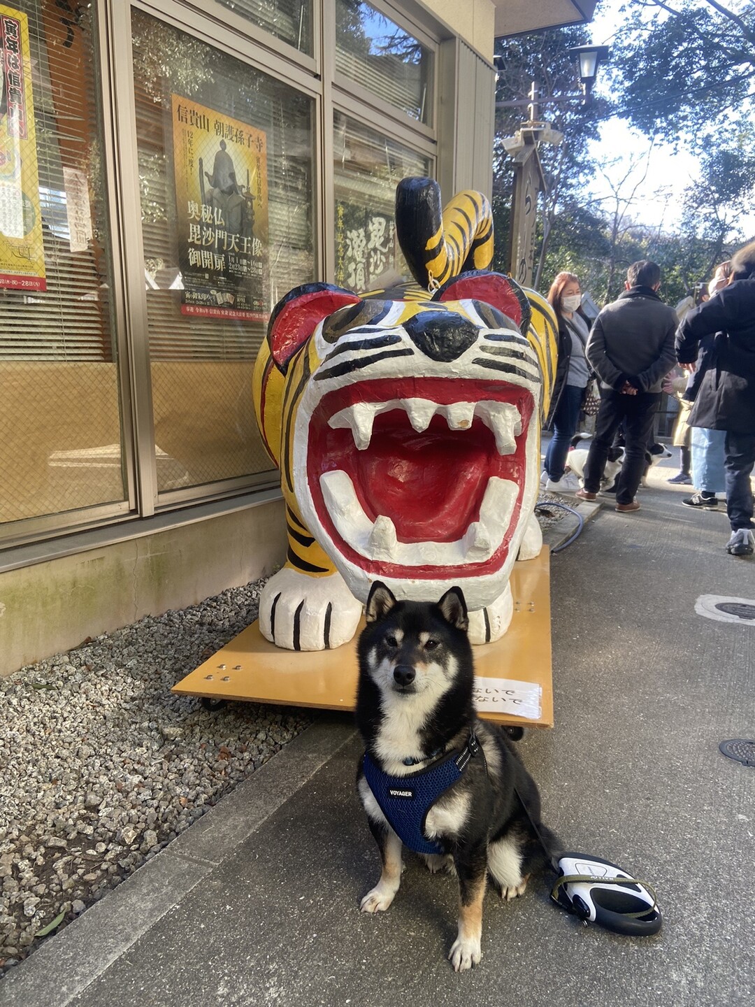 信貴山で 張り子の虎と ポージング / Corchanさんの明神山・玉手山の活動データ | YAMAP / ヤマップ