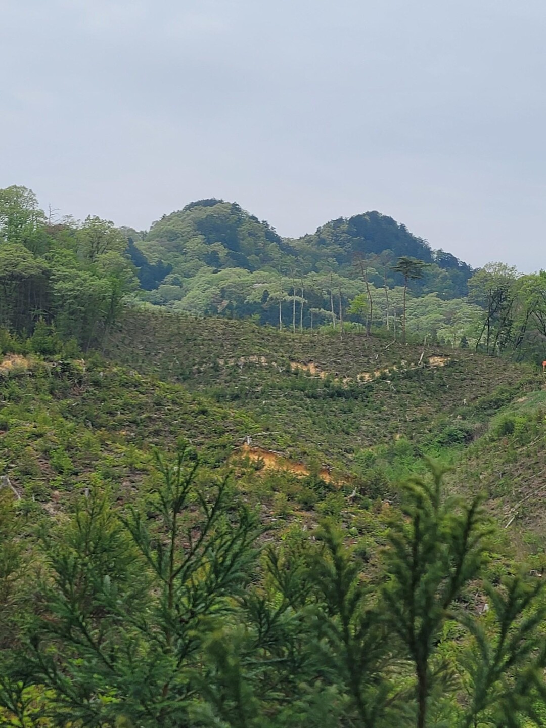 天狗鳥屋・長倉山・鞍掛山・シゲト山・540P / ありちゃんさんの古賀志山・赤岩山・鞍掛山・男抱山・半蔵山の活動データ | YAMAP / ヤマップ