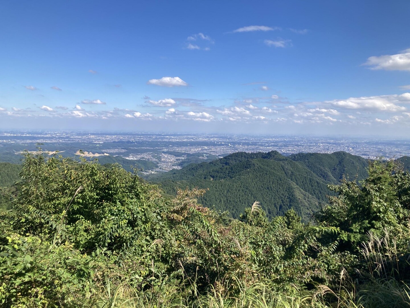 陣馬山・南郷山・富士小屋山・赤岩山・景信山・城山（小仏城山）・高尾山・神変山 / MAC_FUNさんの高尾山・陣馬山・景信山の活動データ | YAMAP / ヤマップ