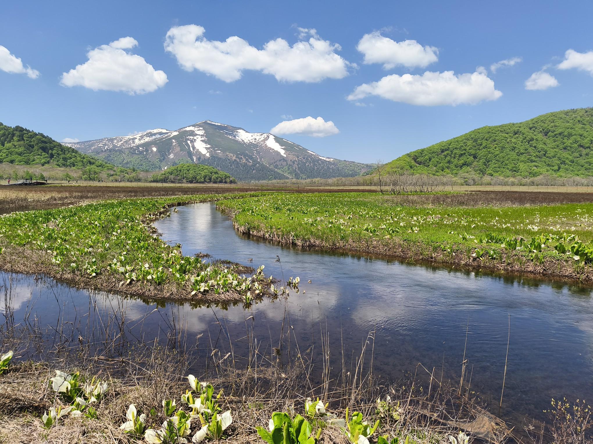 鳩待峠からの尾瀬ヶ原-2025-06-05 / kuramanさんの尾瀬・至仏山・悪沢岳・笠ヶ岳の活動データ | YAMAP / ヤマップ