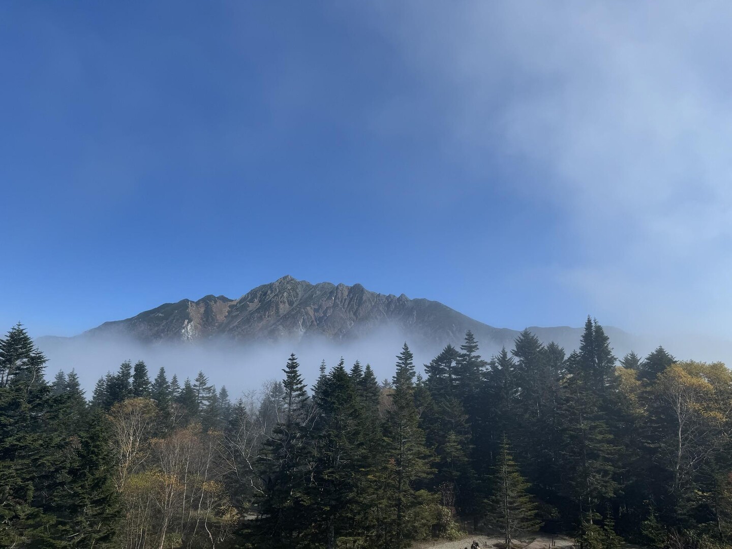 R.24.10.20 親友と、上高地... / ゆんさんのモーメント | YAMAP / ヤマップ