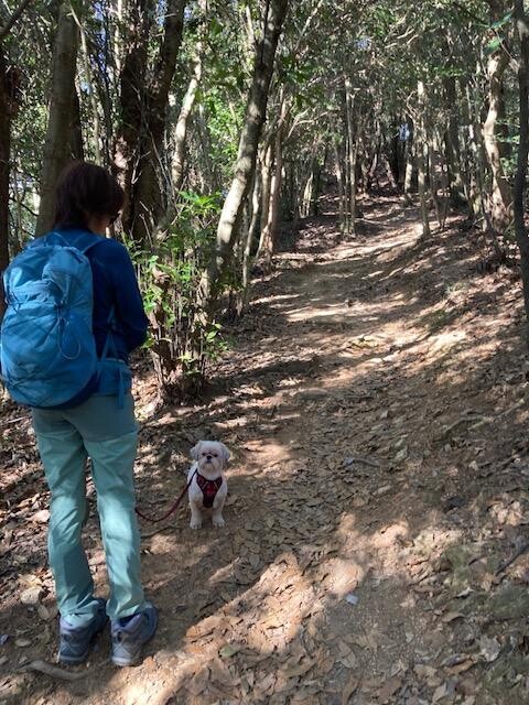 最初は自分もトレッキングはほとんどソロだ... / yuziさんのモーメント | YAMAP / ヤマップ