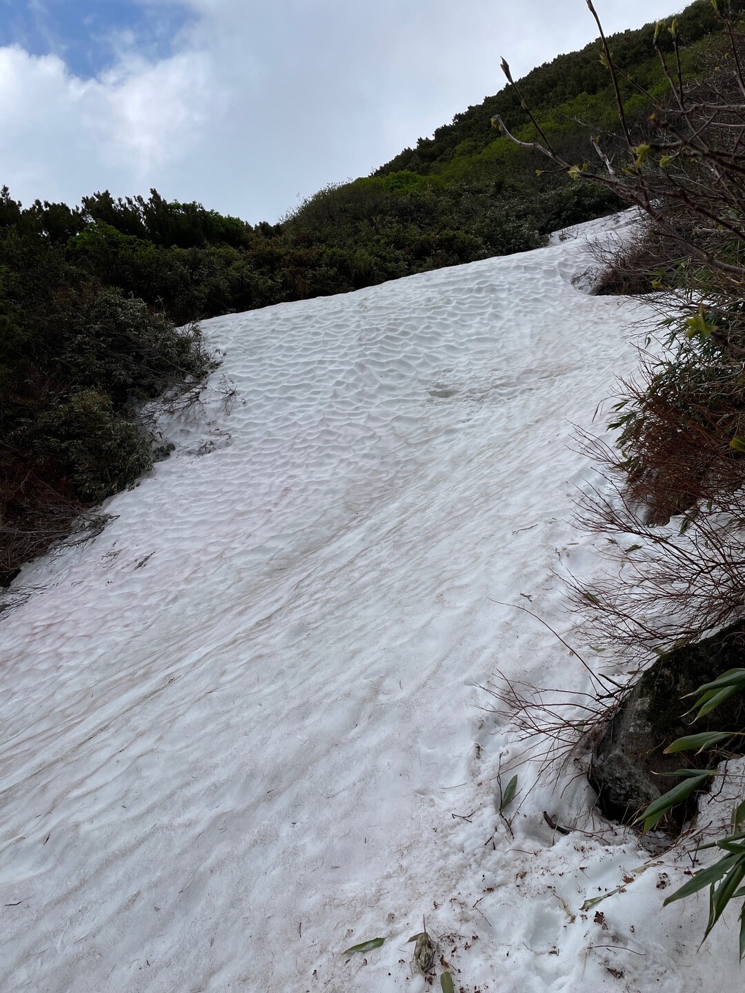 Hiker K2さんの投稿したフィールドメモ | YAMAP / ヤマップ