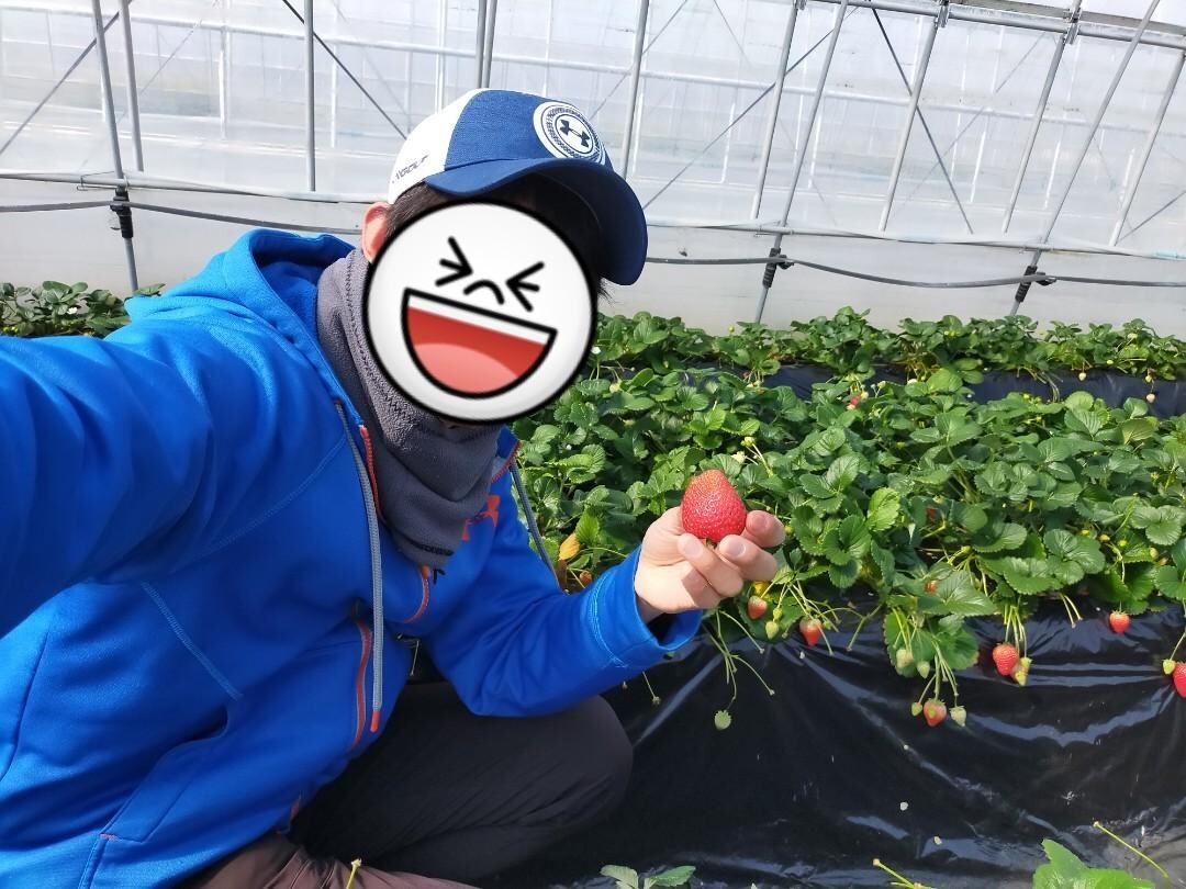 栃木良いとこ一度はおいでm(_ _)m ... / Sky Sunさんのモーメント | YAMAP / ヤマップ