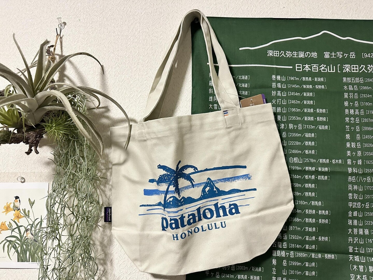 妹のりーさんからのお土産🏖️ Hawa... / koronさんのモーメント | YAMAP / ヤマップ