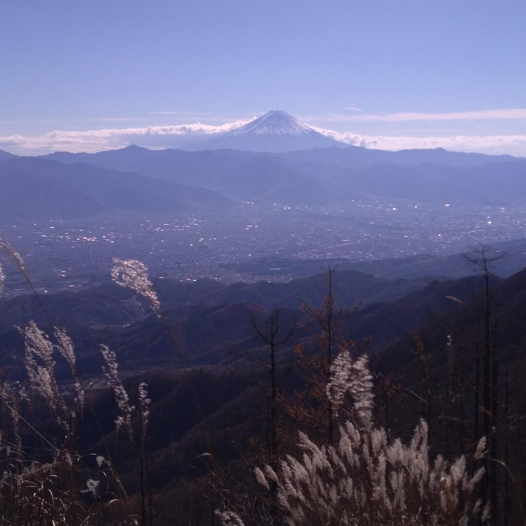 小楢山・幕岩_大沢ノ頭_20241123 / ハイキングGoさんの乾徳山・黒金山の活動データ | YAMAP / ヤマップ