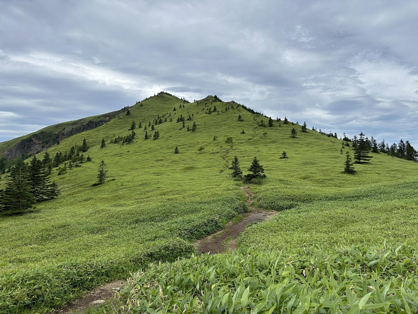 小四阿・中四阿・四阿山・根子岳 / godeyeさんの四阿山・根子岳の活動データ | YAMAP / ヤマップ