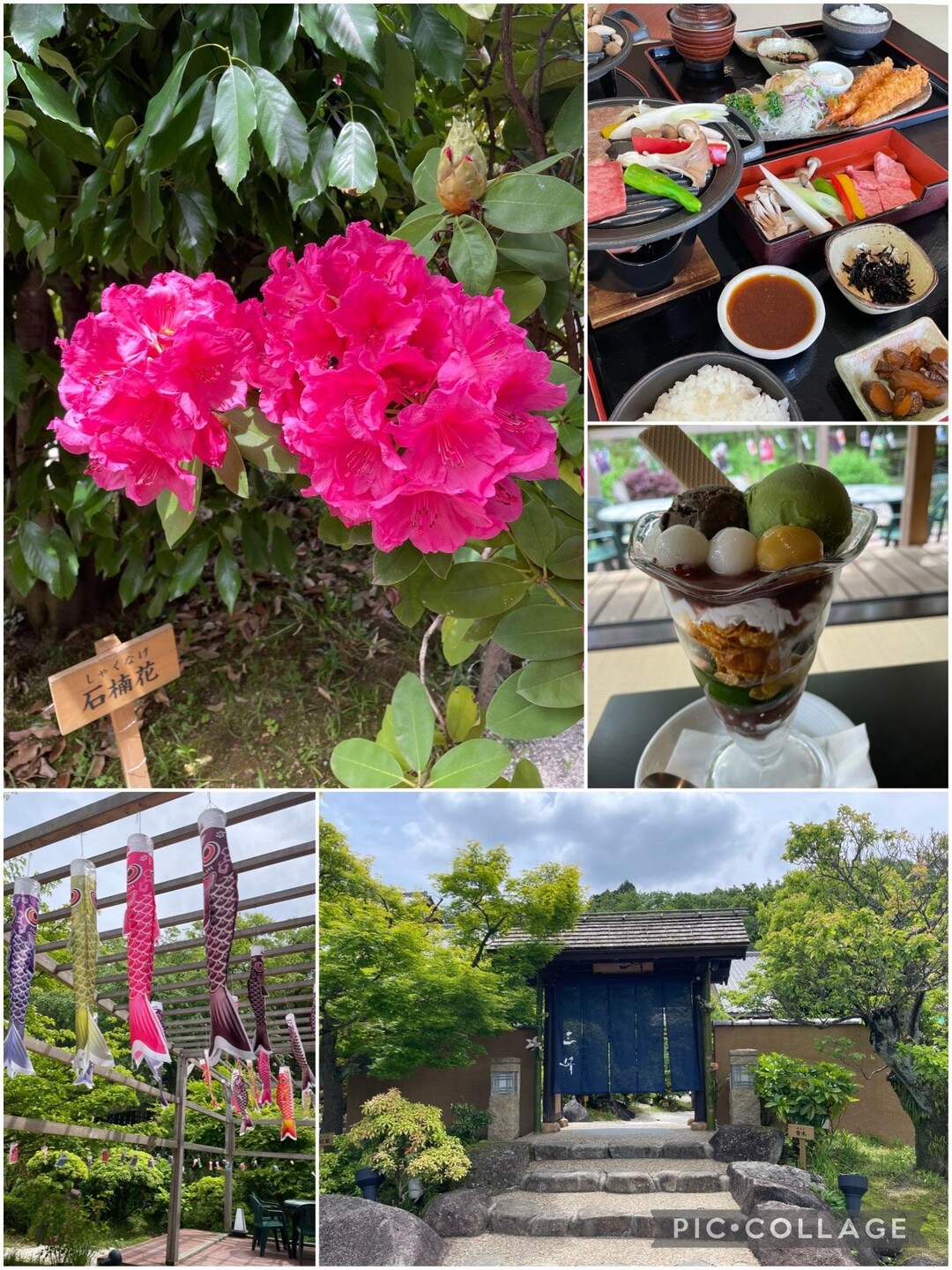 自堕落に過ごしてしまったGWも いよいよ... / まきまきさんのモーメント | YAMAP / ヤマップ