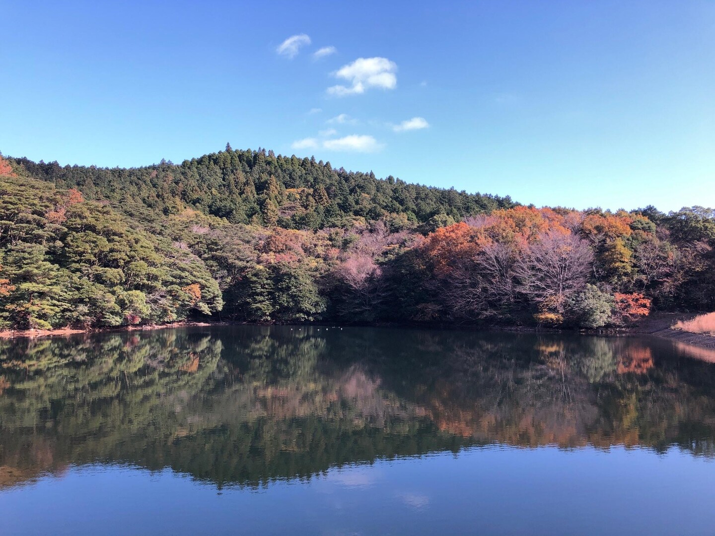 六郷満山 馬城山・華岳・西叡山 国東トレイルコースT1 田染の荘巡り / ゆうさんさんの六郷満山（国東半島）の活動日記 | YAMAP / ヤマップ