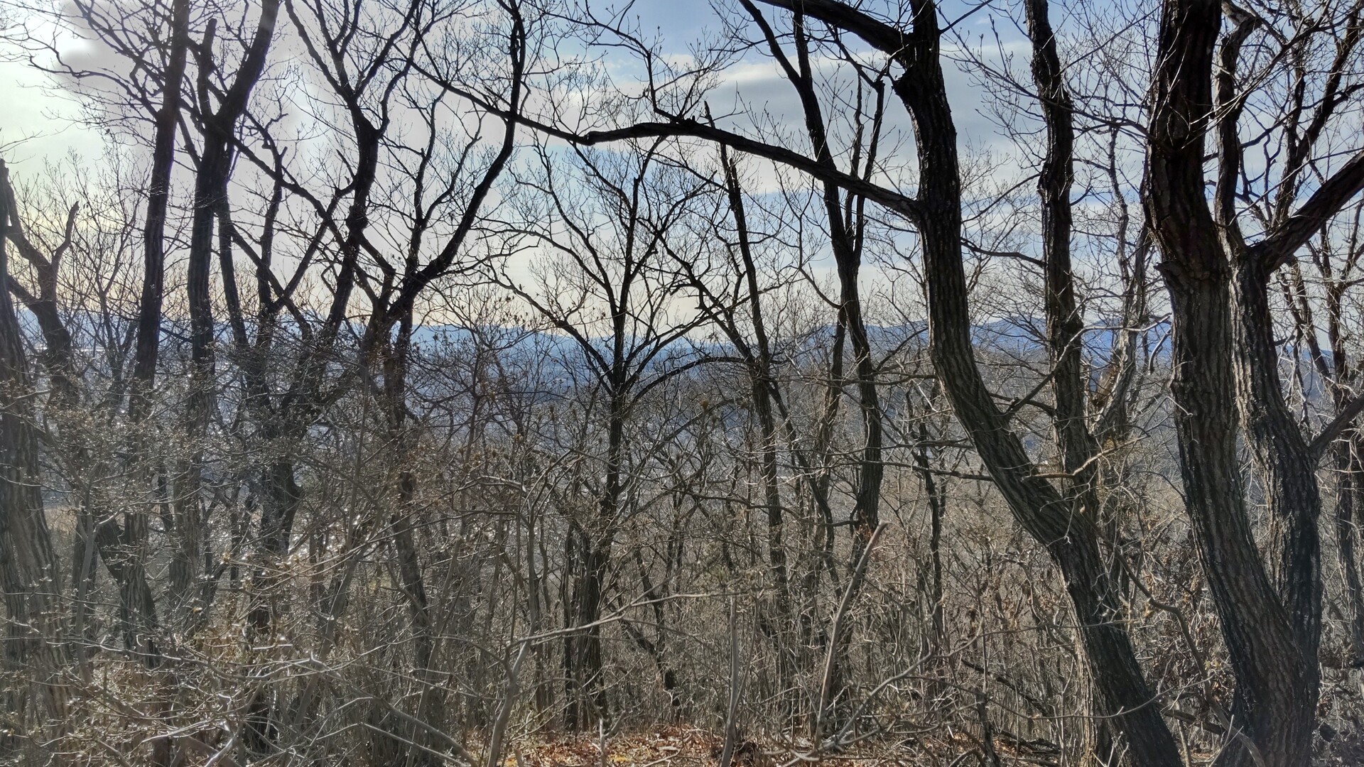 HB-TAKAさんの投稿したフィールドメモ | YAMAP / ヤマップ