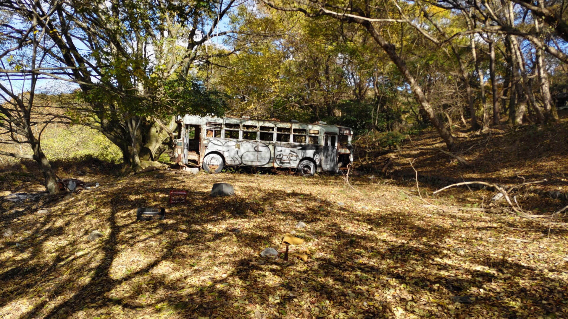 大文字山の紅葉 / ss43mさんの大文字山・如意ヶ嶽・稲荷山の活動日記 | YAMAP / ヤマップ