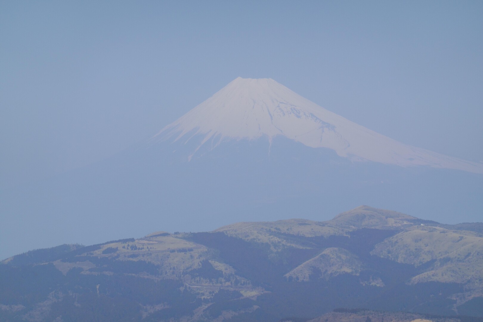 伊豆山稜線歩道DNF / トーキョーハイカーさんの棚場山・魂の山・猫越岳の活動データ | YAMAP / ヤマップ