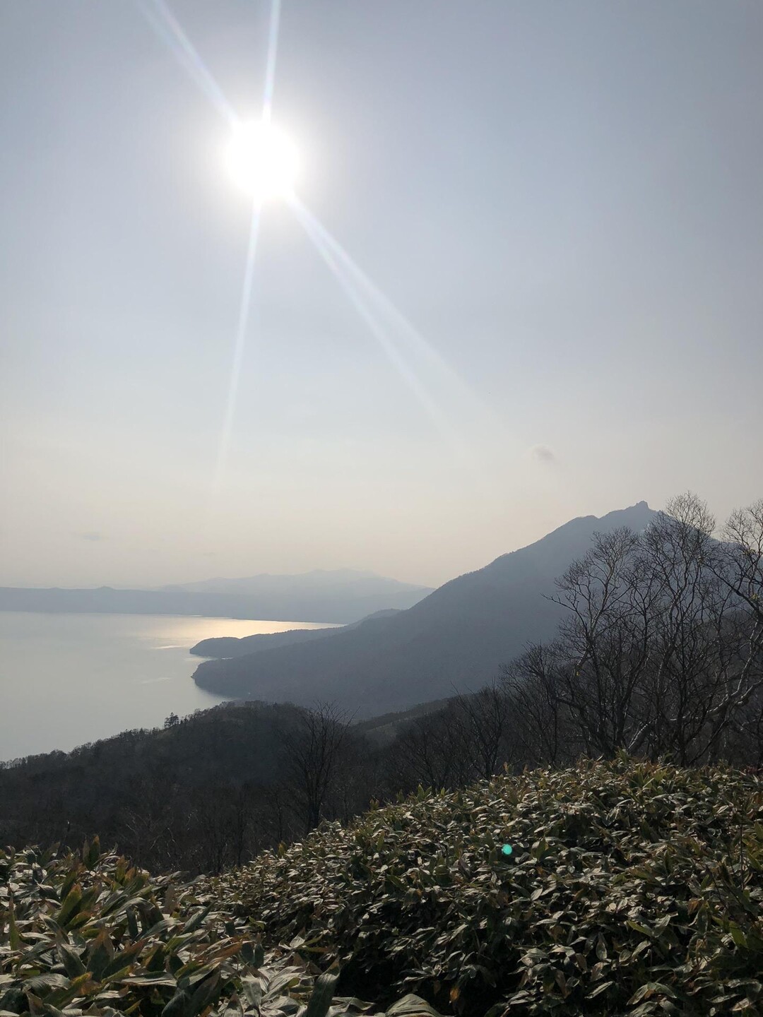 晩秋のイチャンコッペ / mamikoさんのイチャンコッペ山の活動データ | YAMAP / ヤマップ