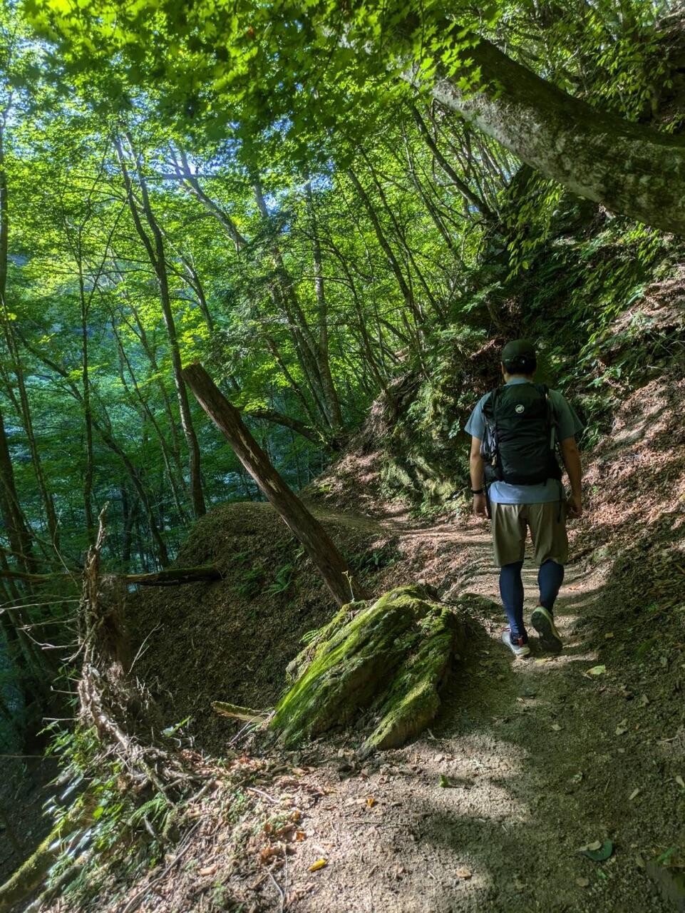 MASAPのページ | YAMAP / ヤマップ