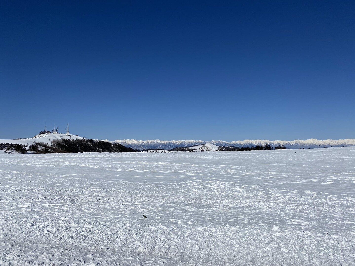 美ヶ原（王ヶ頭） / THYさんの美ヶ原の活動データ | YAMAP / ヤマップ