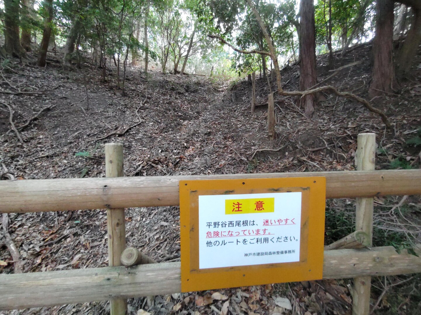 平野谷西尾根💦お勧めできません… / inamさんの六甲山・長峰山・摩耶山の活動データ | YAMAP / ヤマップ