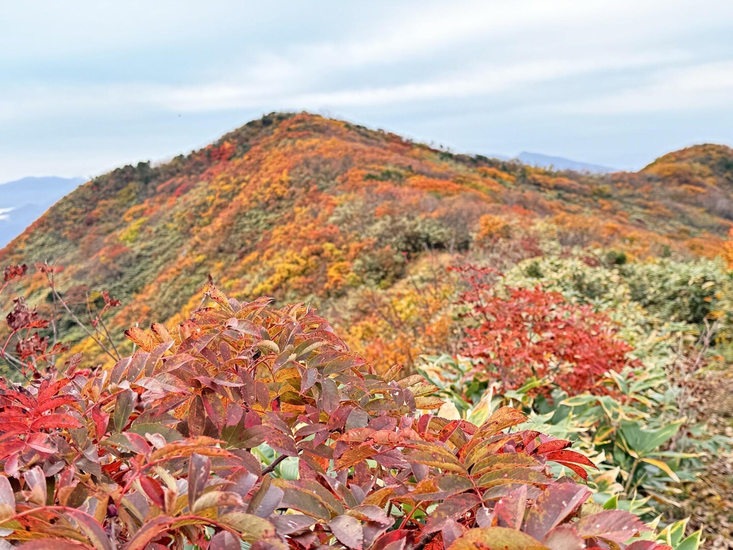 粟ヶ岳 / NBさんの粟ヶ岳・權ノ神岳・宝蔵山の活動データ | YAMAP / ヤマップ