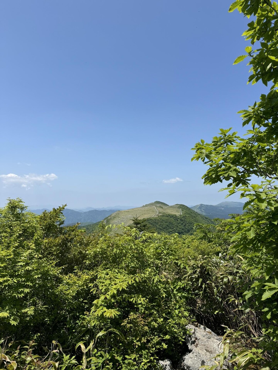 天狗ノ森 / Leeさんの天狗ノ森（天狗高原）・黒滝山の活動データ | YAMAP / ヤマップ
