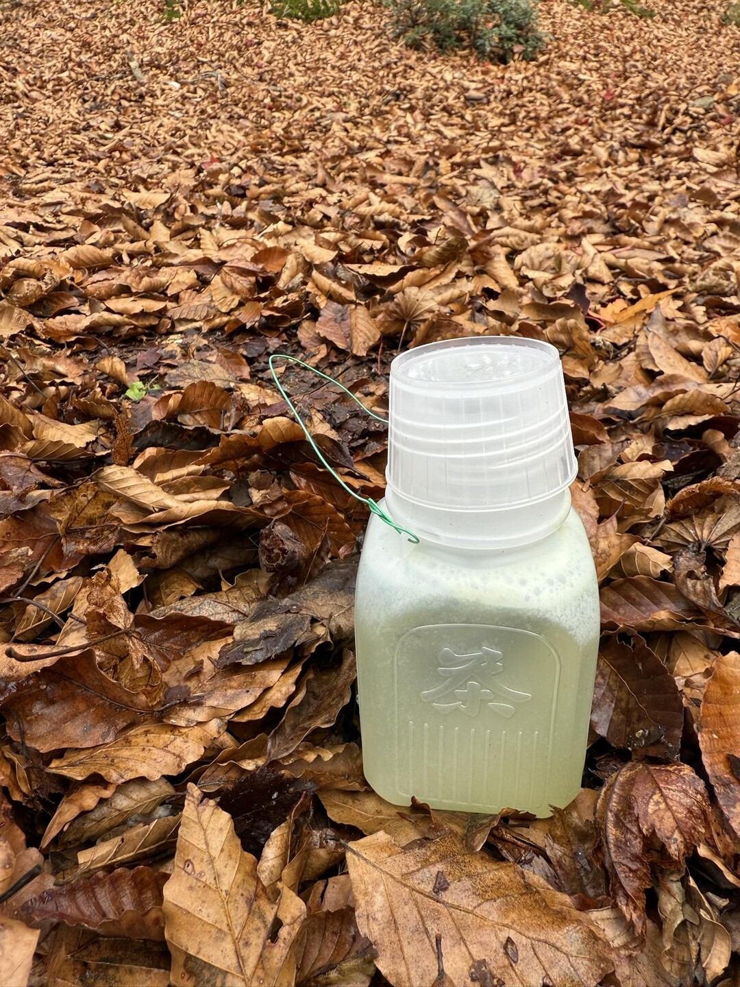 UL急須 / mementomorioさんのモーメント | YAMAP / ヤマップ