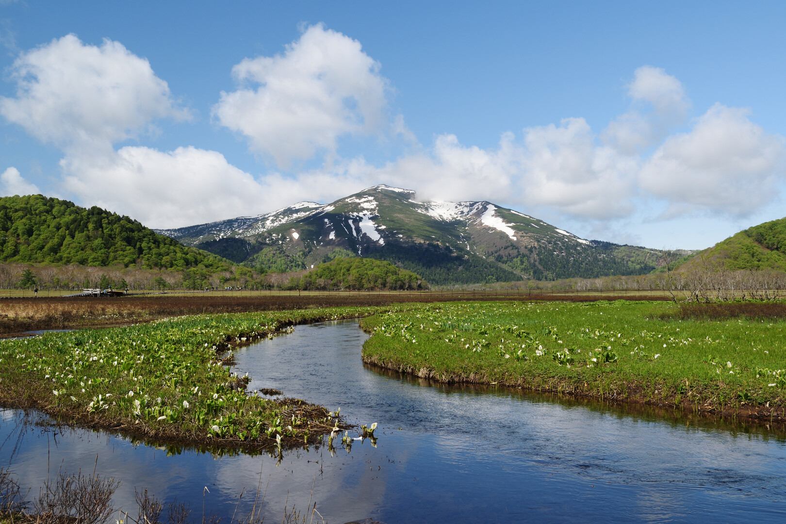 尾瀬ヶ原-2021-05-30 / nm25さんの尾瀬・燧ヶ岳の活動データ | YAMAP / ヤマップ