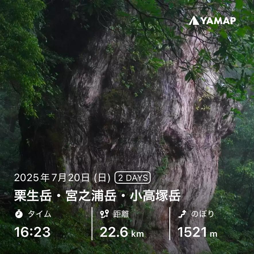 栗生岳・宮之浦岳・小高塚岳 https:... / K.Y.さんのモーメント | YAMAP / ヤマップ