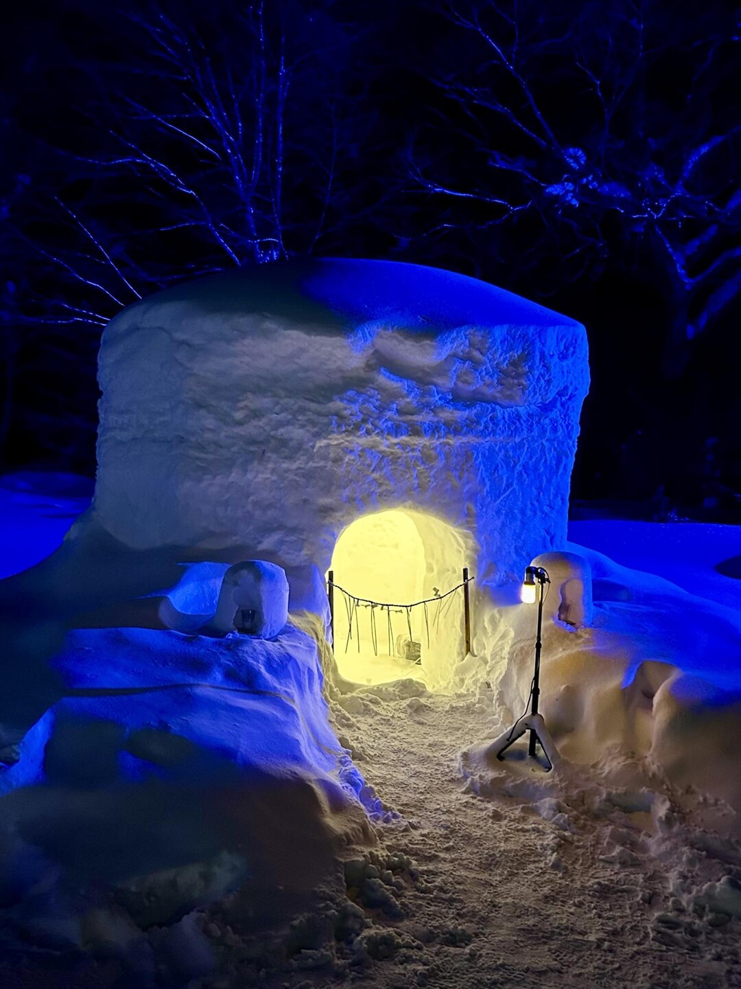 平家の里-2025-02-13 / ゲズバさんの明神ヶ岳の活動データ | YAMAP / ヤマップ