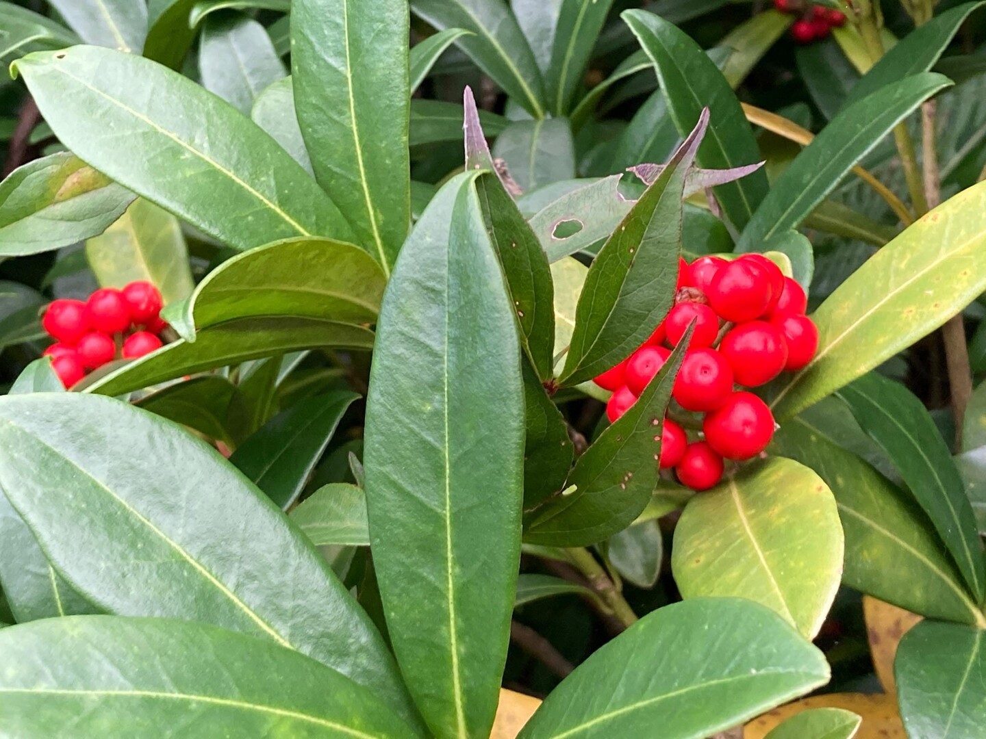 猿投山行2022の49 / 大ちゃんさんの猿投山・物見山の活動データ | YAMAP / ヤマップ