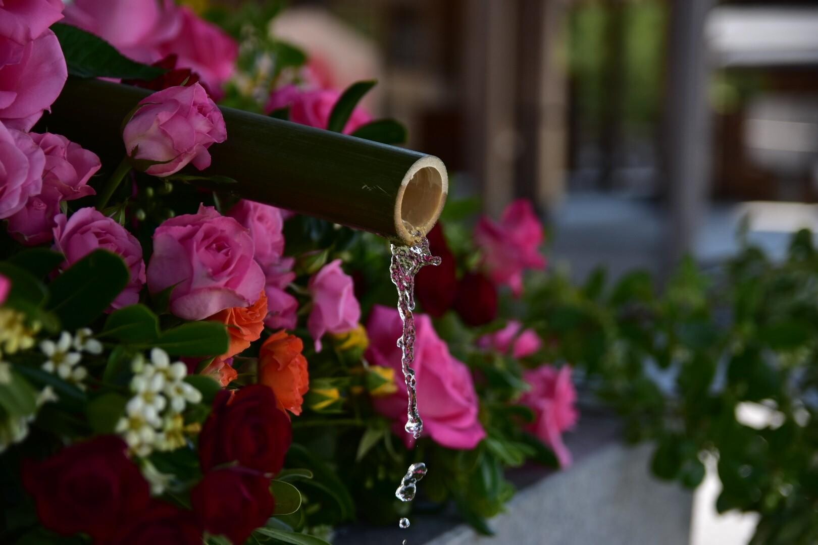 菩提寺山 / emu626さんの霜降岳（霜降山）・観音岳・白岩山の活動データ | YAMAP / ヤマップ