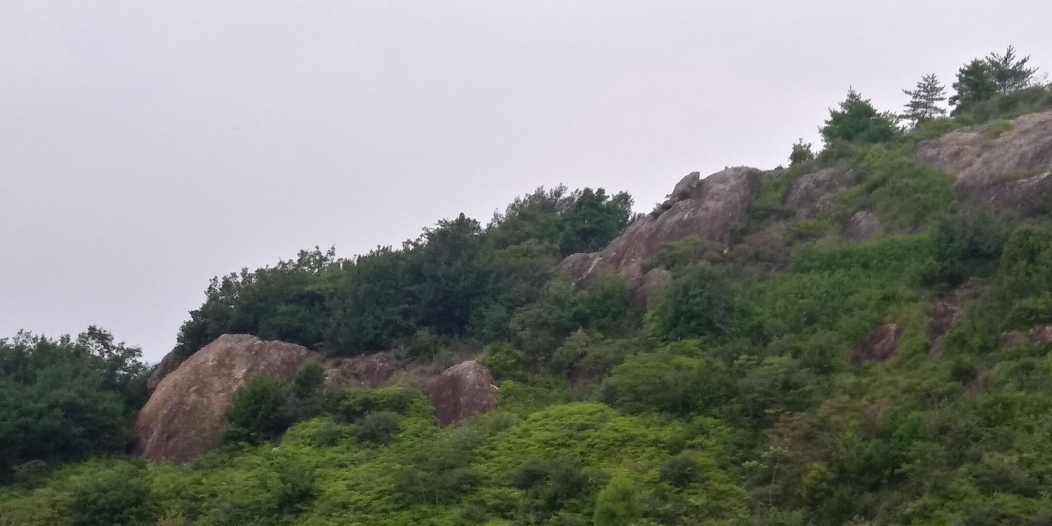 カエル岩へGo! / miloさんの小富士山・御旅山・高坪山の活動データ | YAMAP / ヤマップ