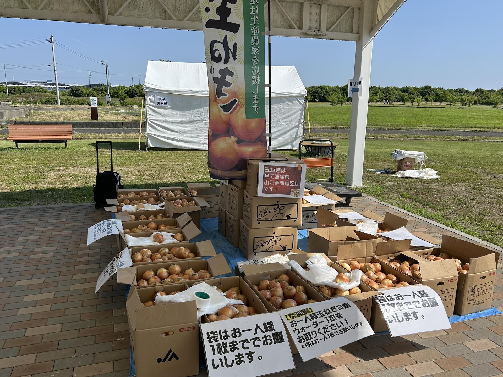 第7回LOVE東北RUN！ たまねぎリレ... / noriさんのモーメント | YAMAP / ヤマップ