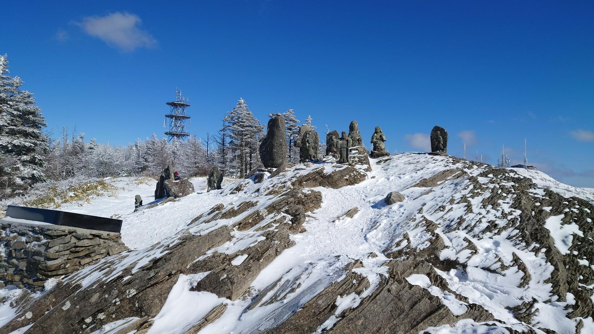 美ヶ原（王ヶ頭）・王ヶ鼻 / fuさんの美ヶ原の活動データ | YAMAP / ヤマップ