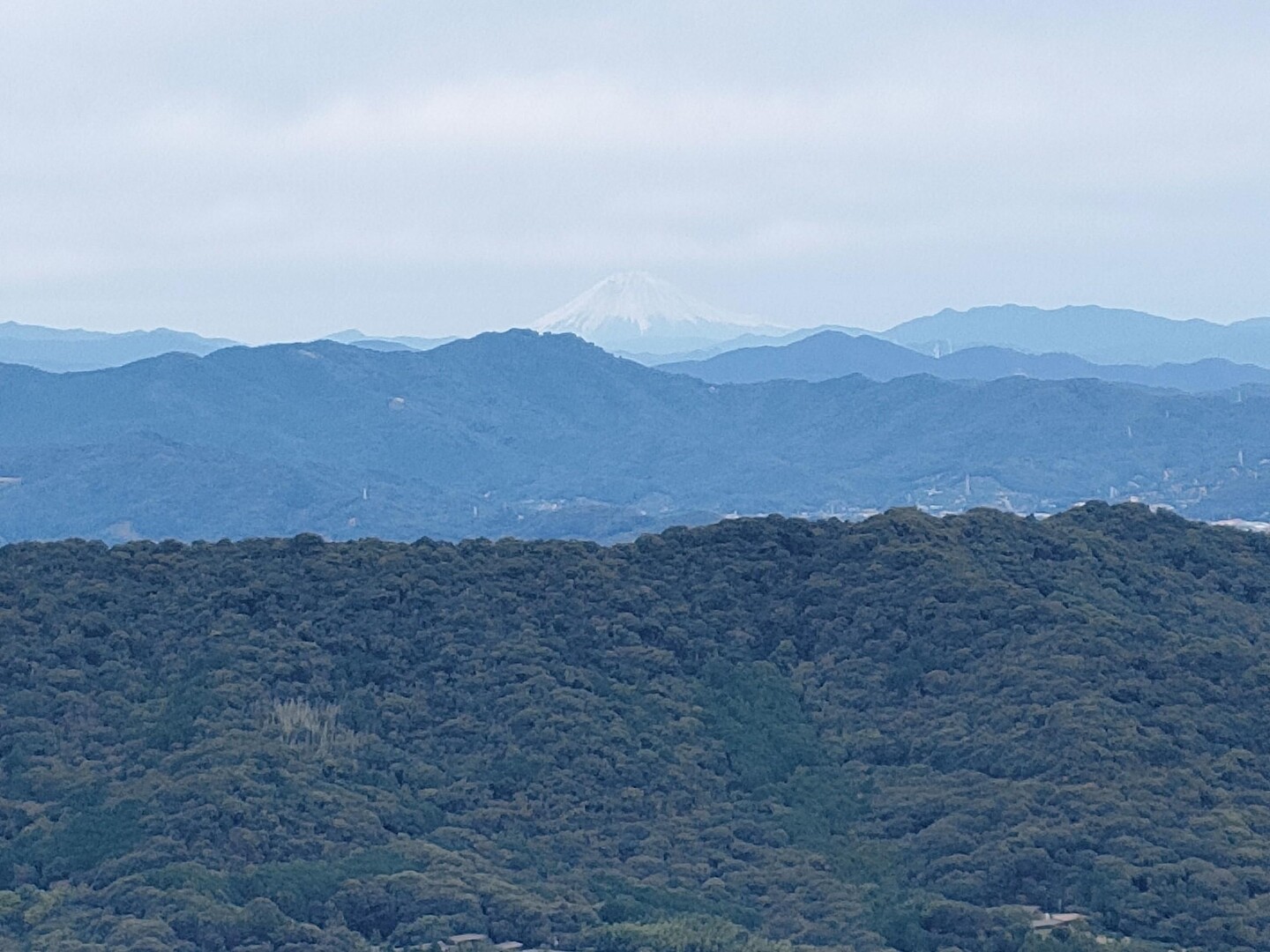 miyaさんの投稿したフィールドメモ | YAMAP / ヤマップ