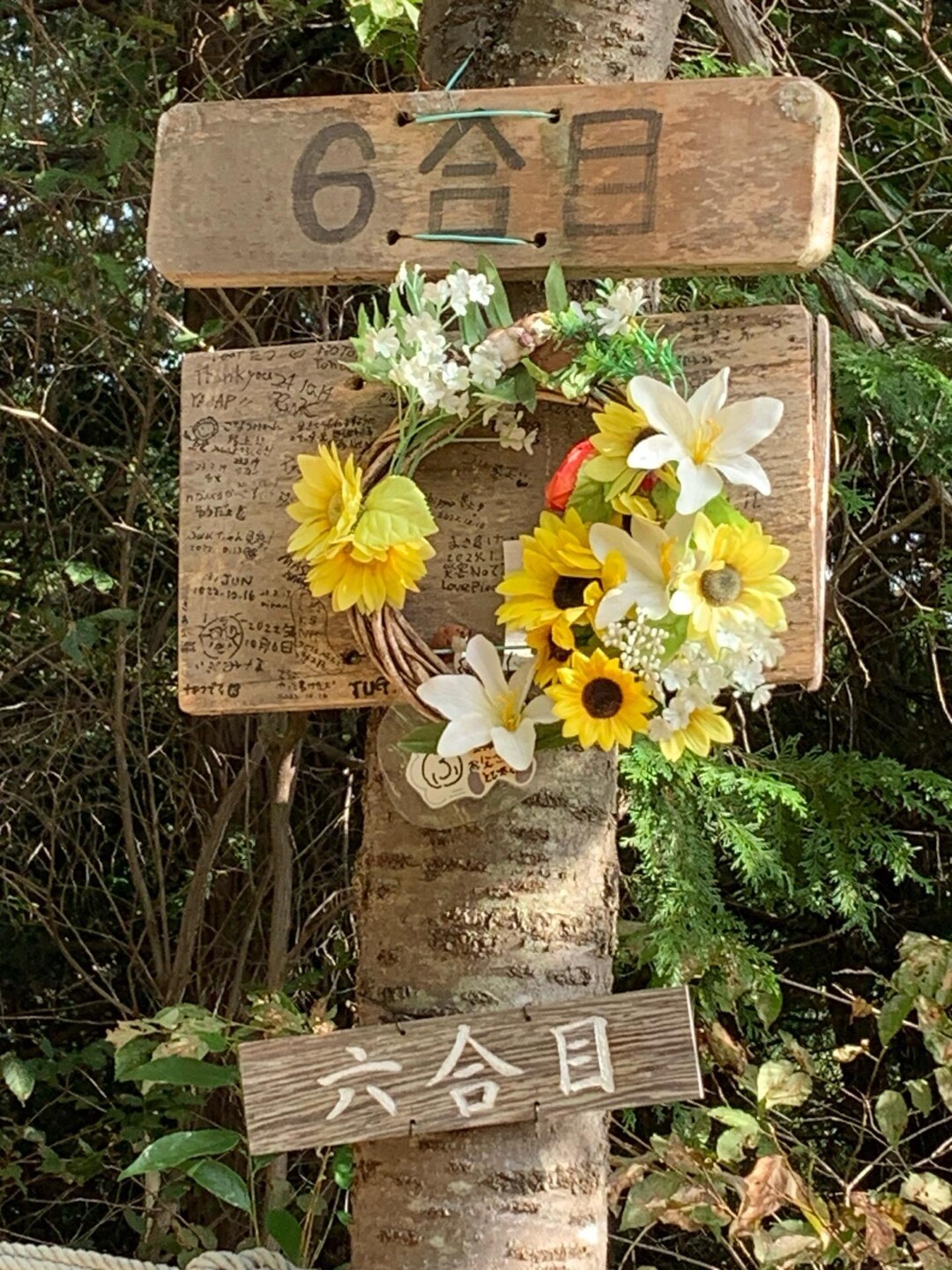 晴れ☀️やし行かねばならぬの 多度山 / Raraさんの多度山・美濃松山・石津御嶽の活動データ | YAMAP / ヤマップ