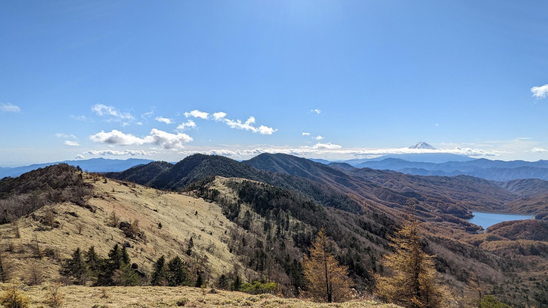 大菩薩嶺 / yamashitanさんの大菩薩嶺・鶏冠山・大マテイ山の活動データ | YAMAP / ヤマップ