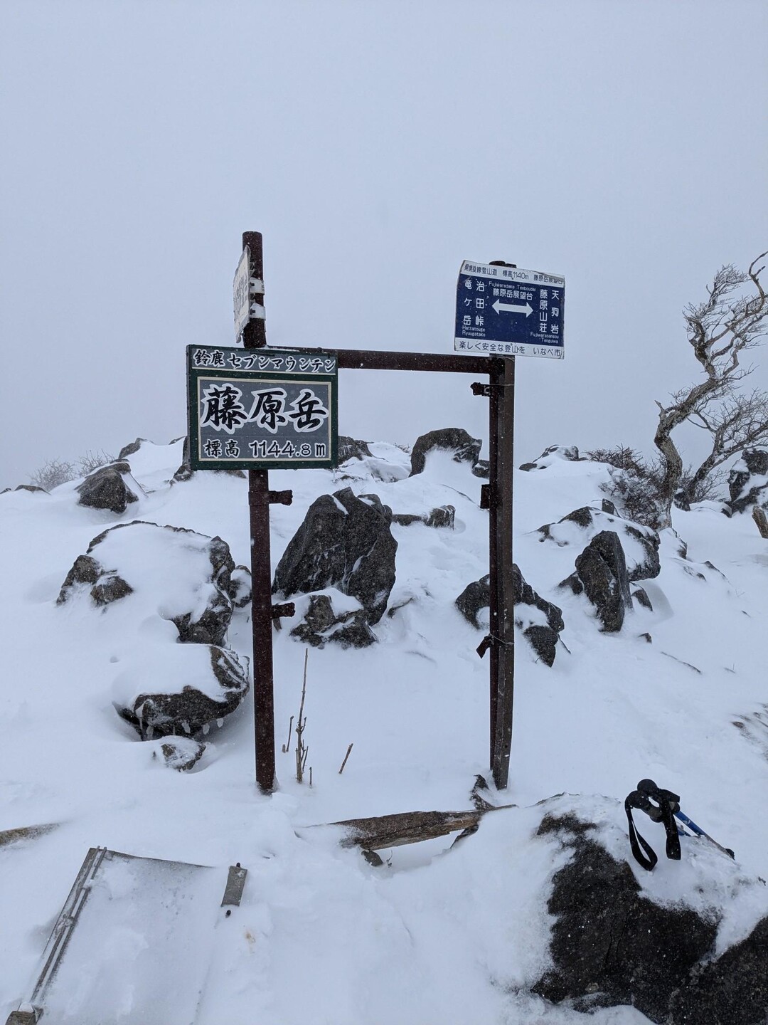 藤原岳 / westさんの藤原岳・御池岳の活動データ | YAMAP / ヤマップ