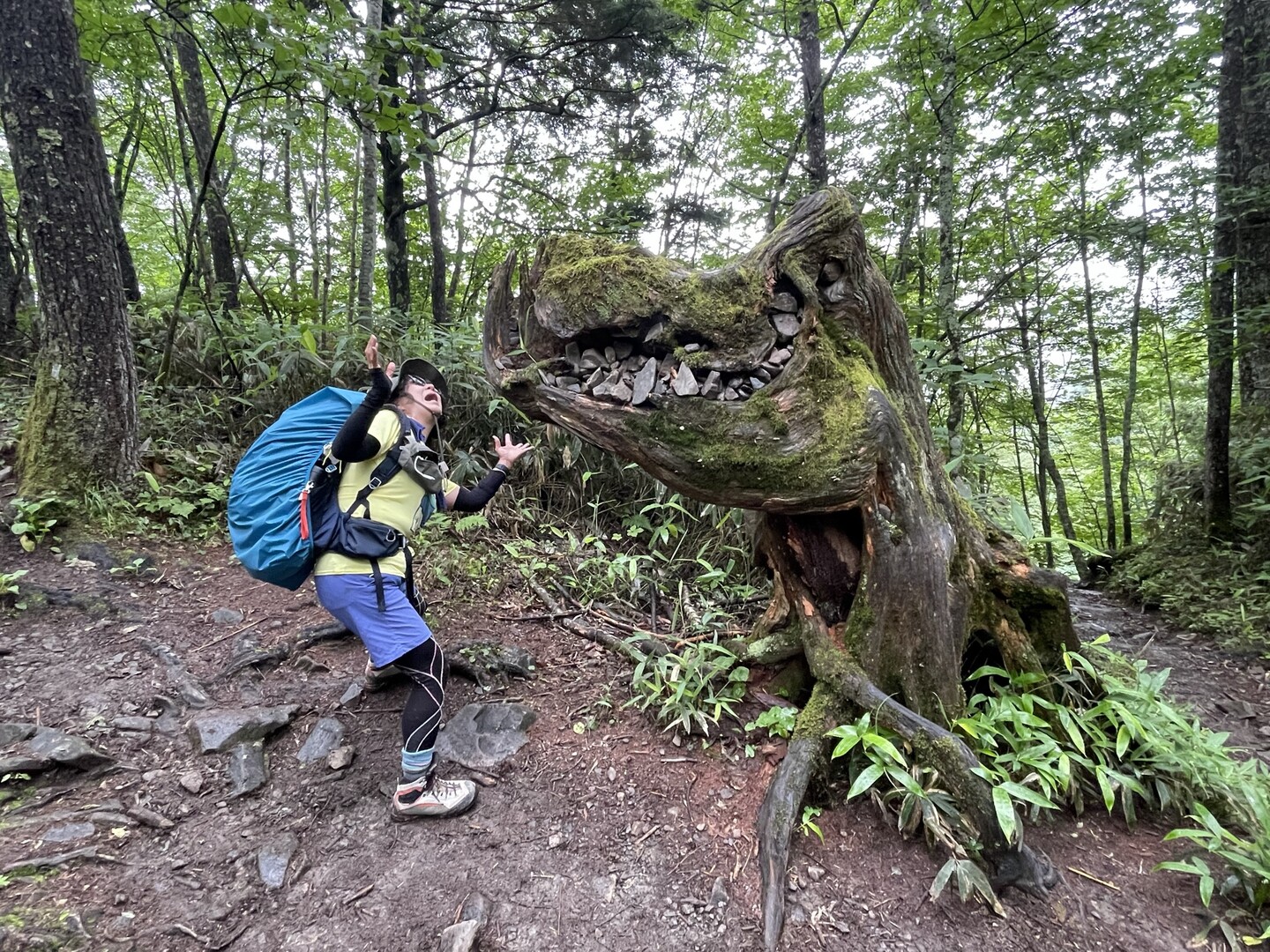 蝶ヶ岳・蝶槍 / ゆきちゃん ️さんの槍ヶ岳・穂高岳・上高地の活動日記 | YAMAP / ヤマップ