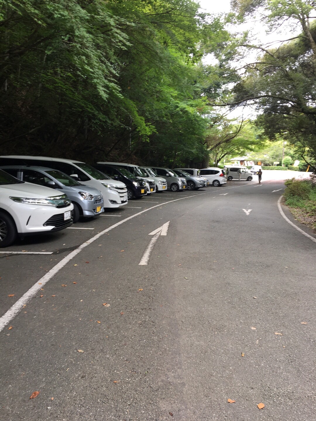 清水山 / big treeさんの清水山・丸山・古僧都山の活動データ | YAMAP / ヤマップ