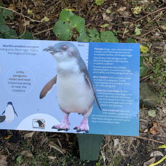 piropiのページ | YAMAP / ヤマップ