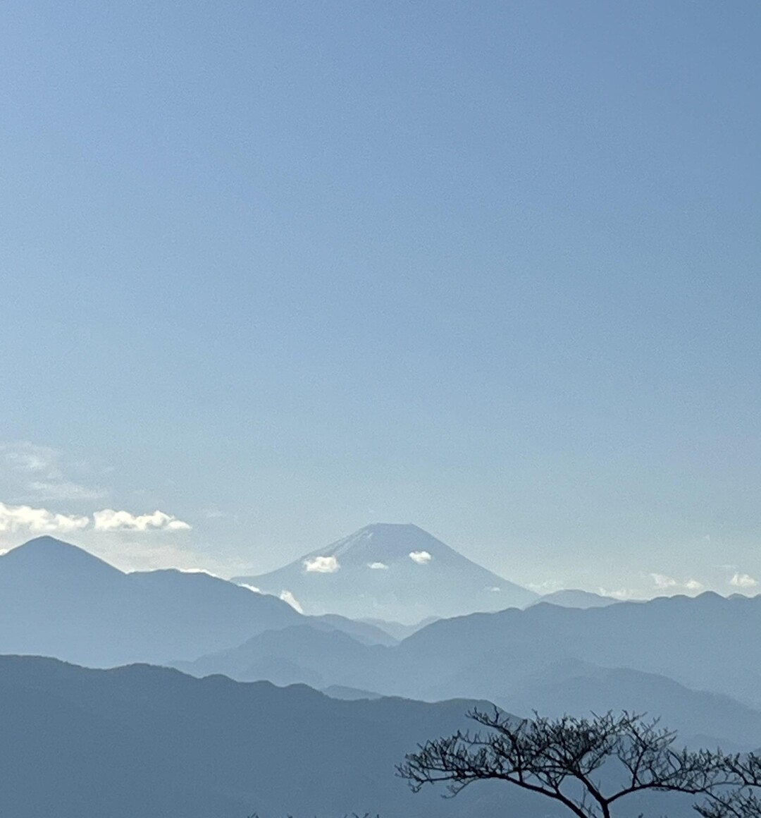 12月24日は今年最後の高尾山。午後から... / skipさんのモーメント | YAMAP / ヤマップ