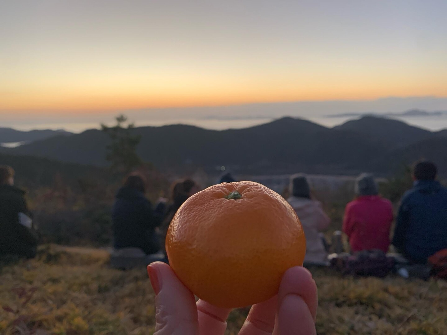 雄鷹台山 / kinocoさんの雄鷹台山の活動データ | YAMAP / ヤマップ
