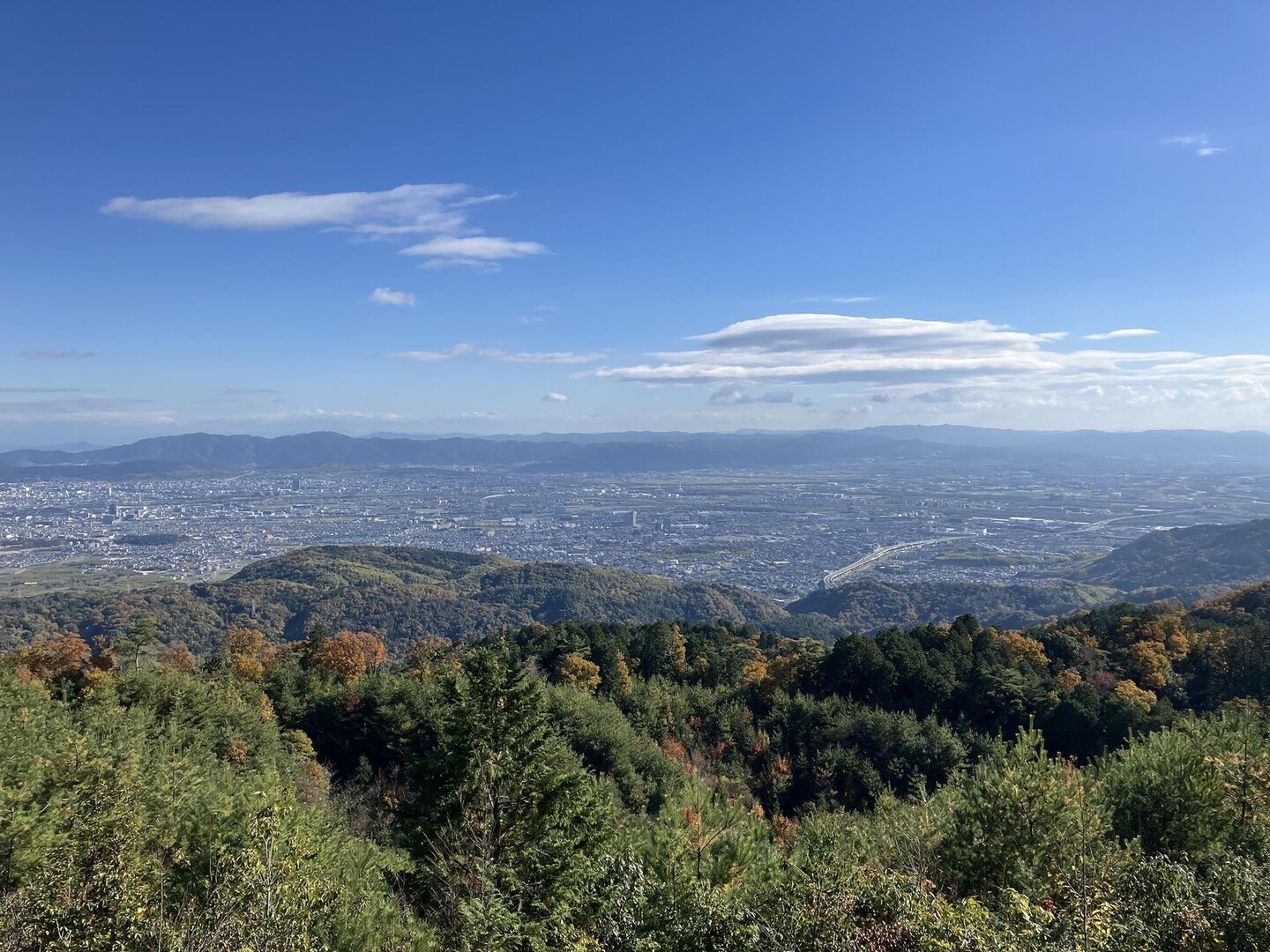 大沢山・釈迦岳・ポンポン山 / Martyさんの京都一周トレイルの活動データ | YAMAP / ヤマップ