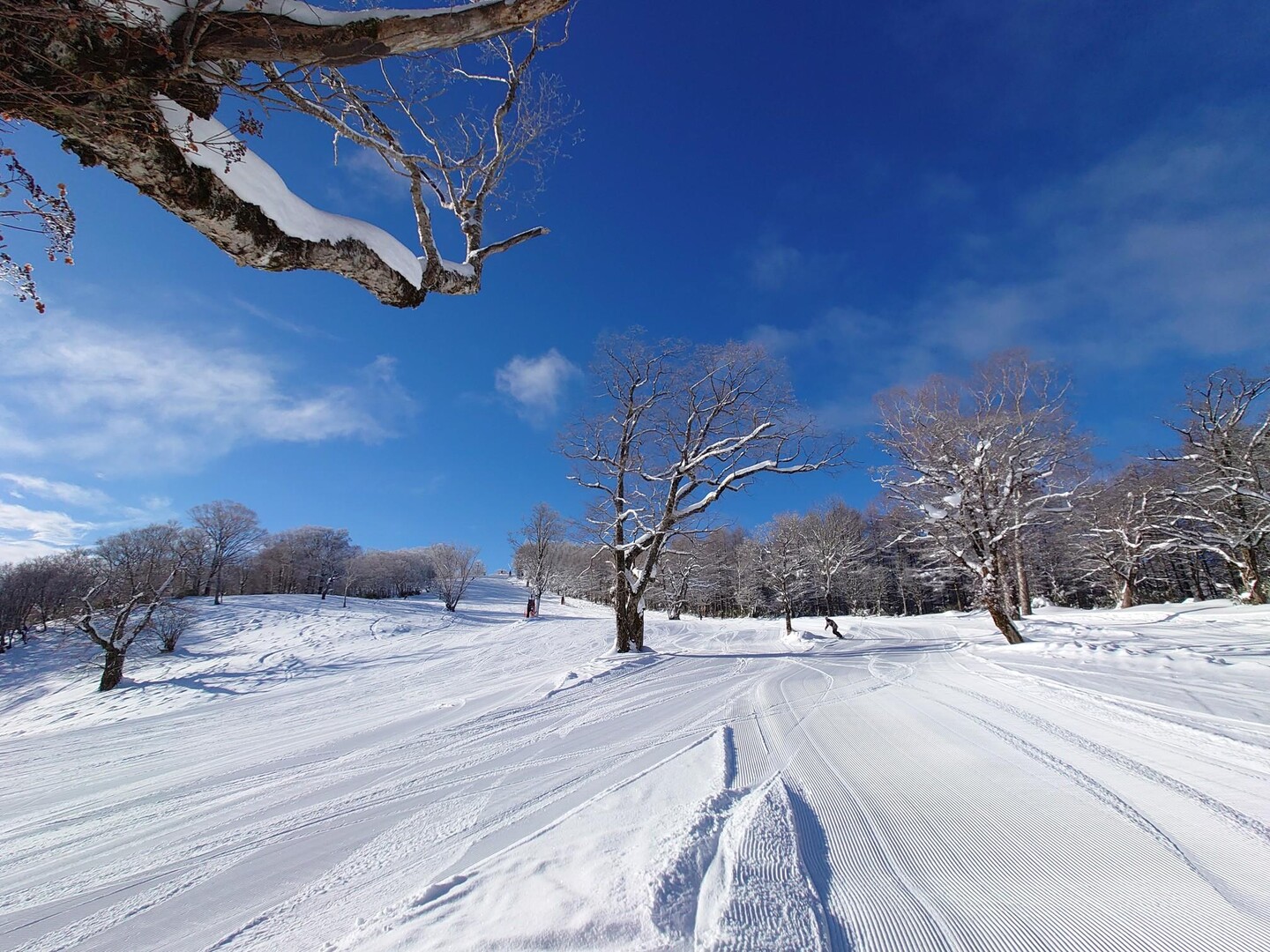 秋山シーズンは知らぬ間に終わり、雪山シー... / JUNさんのモーメント | YAMAP / ヤマップ
