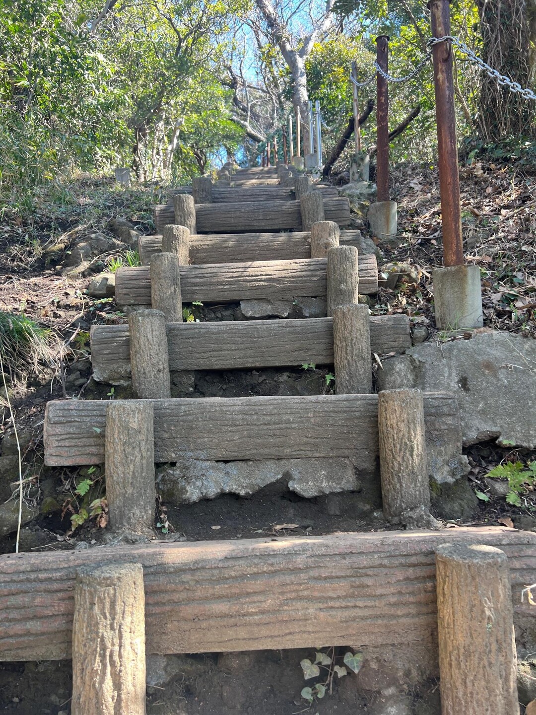 Amy(エイミー)さんの投稿したフィールドメモ | YAMAP / ヤマップ