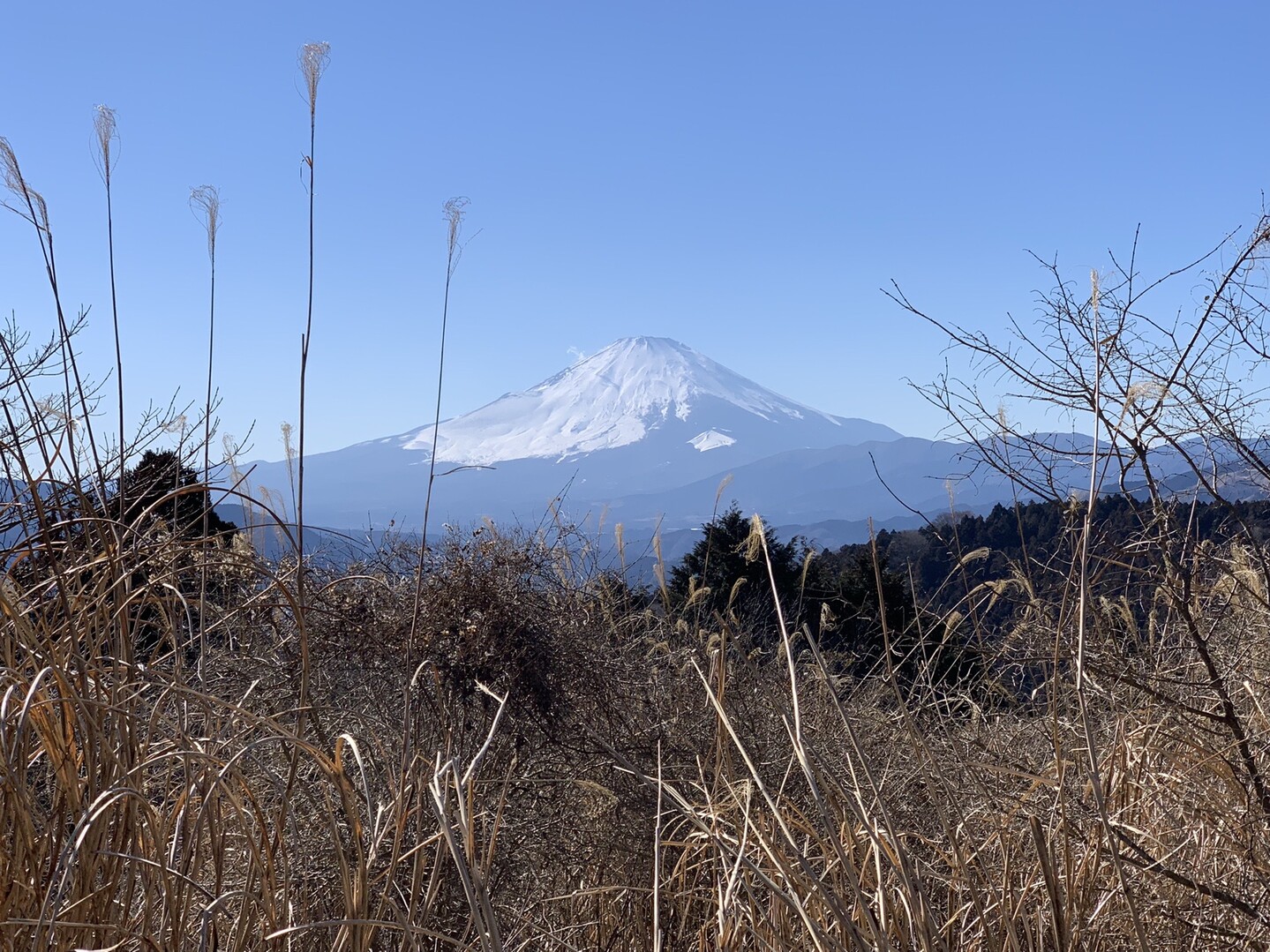 zenさんの投稿したフィールドメモ | YAMAP / ヤマップ