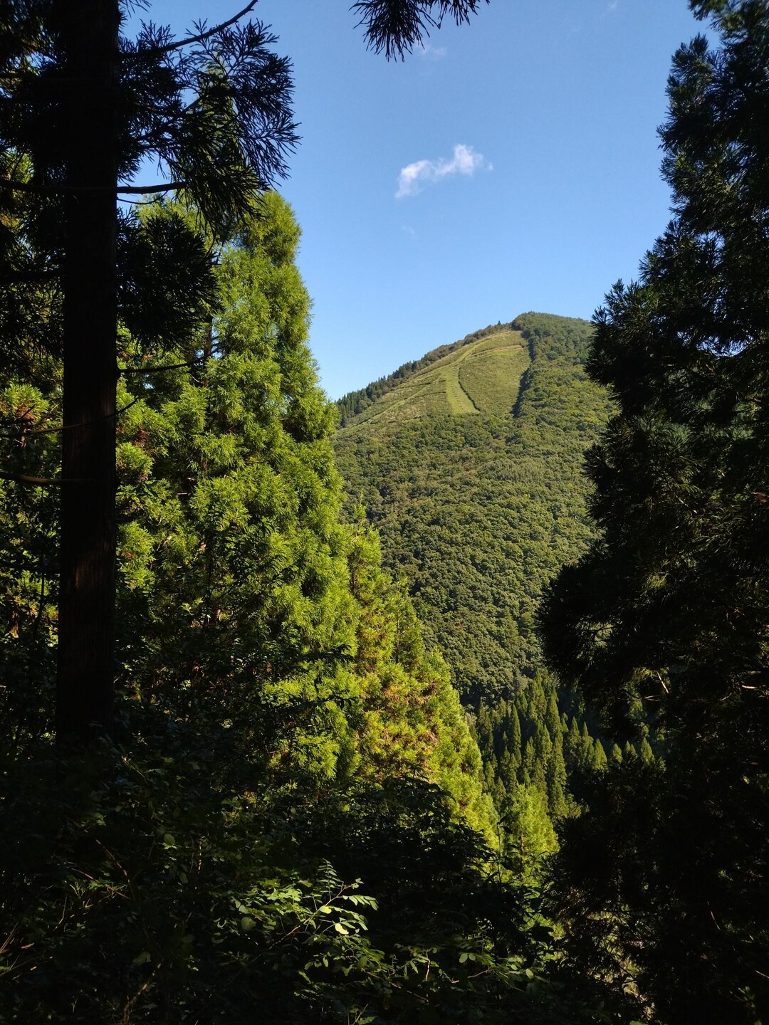 鳳凰山 / nrh_bmさんの鳳凰山の活動日記 | YAMAP / ヤマップ
