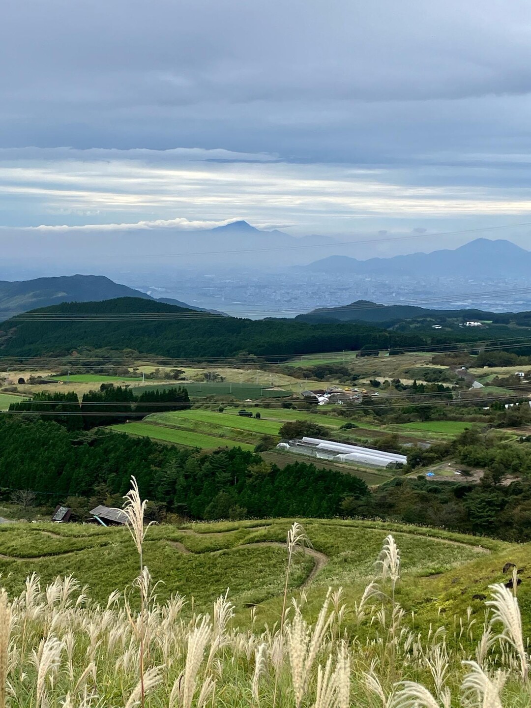 高畑山・二ッ山 / ORIBAさんの俵山・冠ヶ岳・清栄山の活動データ | YAMAP / ヤマップ