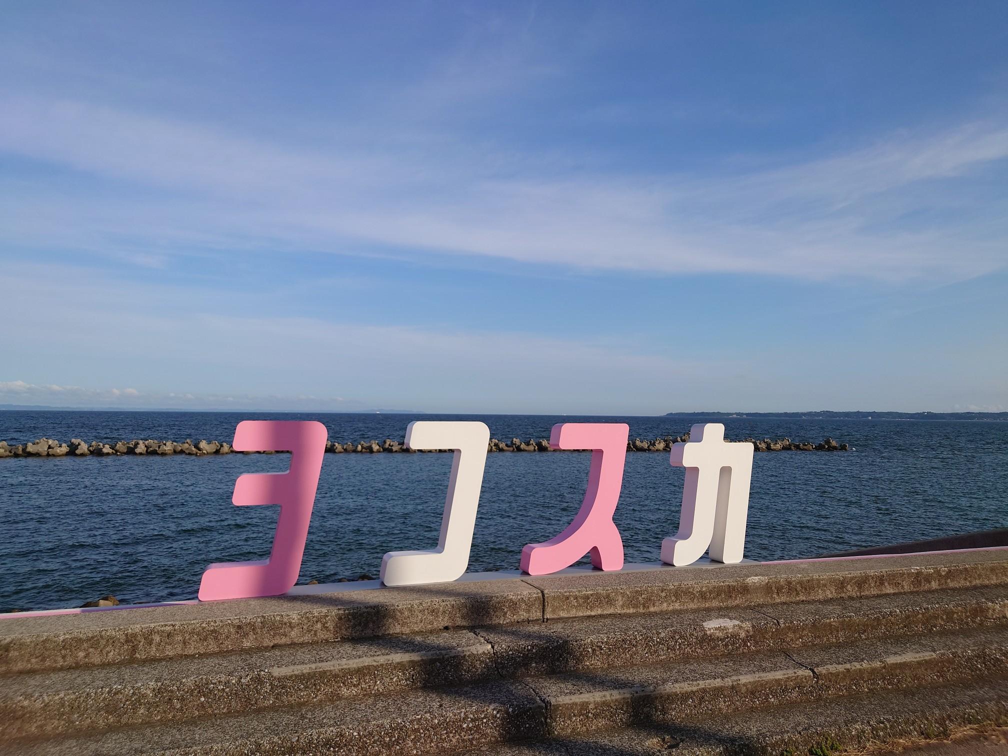 富塚山（おにぎり山） / Takeさんの大楠山・武山・三浦富士の活動データ | YAMAP / ヤマップ