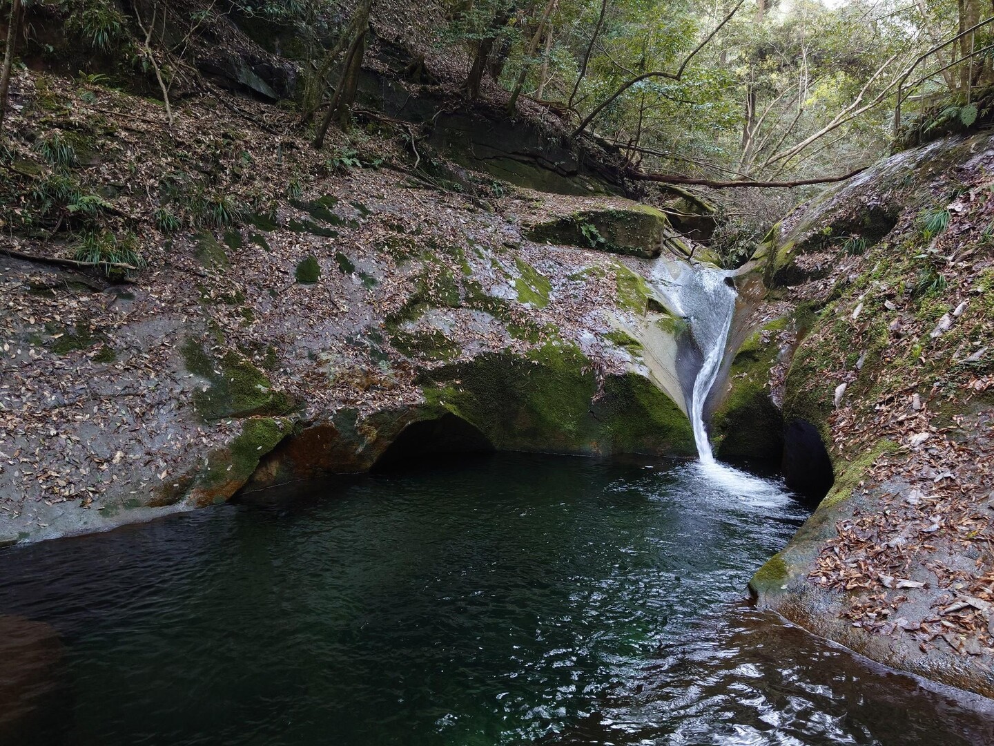 はじめてのトレラン / tshimaさんの額井岳の活動データ | YAMAP / ヤマップ