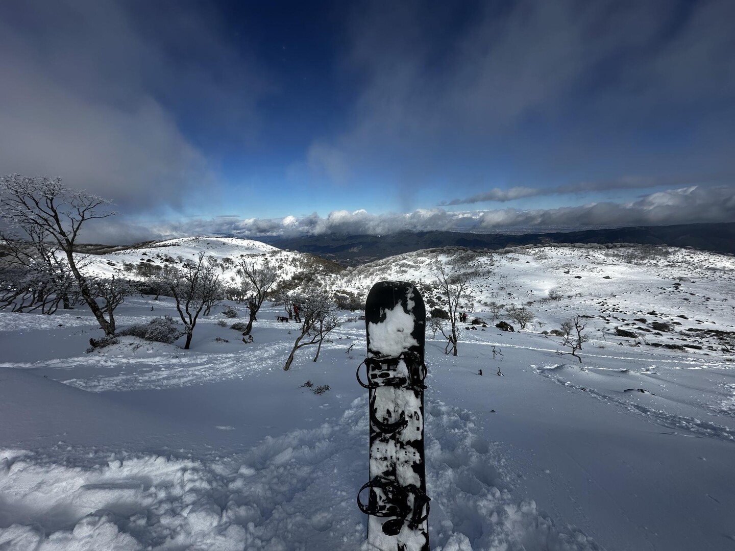 藤原岳で初BC / podoryさんの藤原岳・御池岳の活動データ | YAMAP / ヤマップ