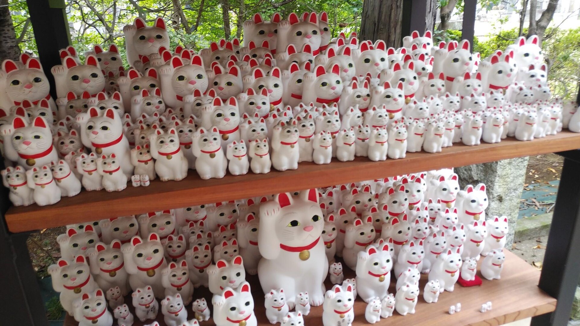 大山街道初日 赤坂御門から豪徳寺😺まで / 858さんの東京都23区 中央エリアの活動データ | YAMAP / ヤマップ